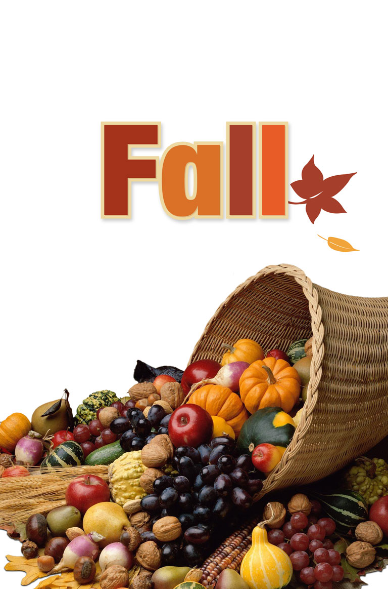 Fall | FarFaria